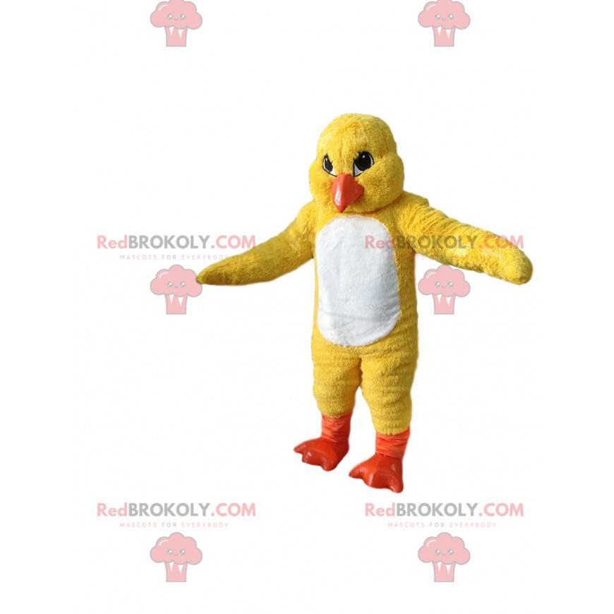 Mascota de pollito amarillo. Disfraz de pollito