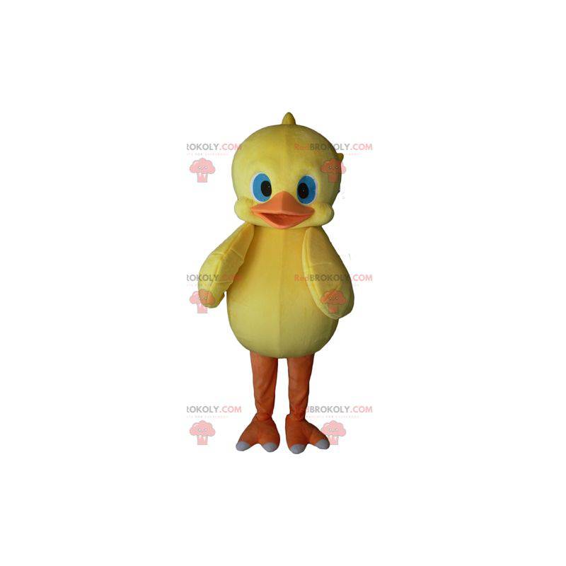 Mascota pollito amarillo y naranja con ojos