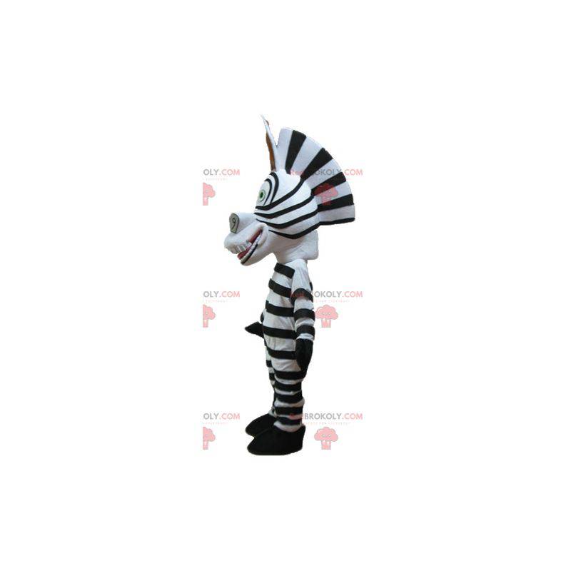 Mascot of the famous zebra Marty from the cartoon