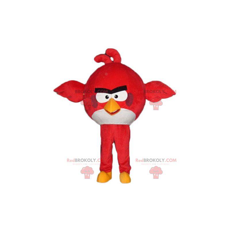 Angry Birds Images White