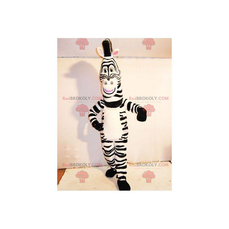 Marty mascot famous zebra from Madagascar cartoon