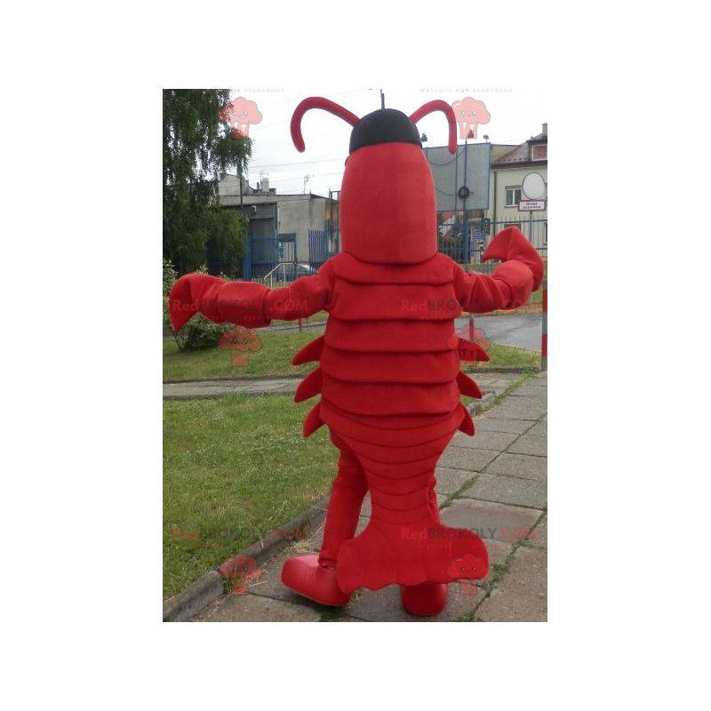 Mascote da lagosta. Mascote gigante do lagostim