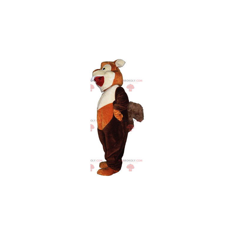 Red squirrel mascot - Forest animals