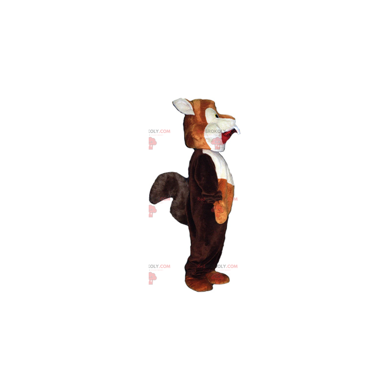Red squirrel mascot - Forest animals